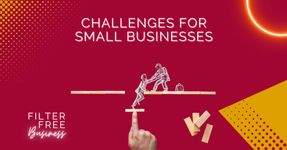 Challenges That Small Business Owners Face | Filter Free Business
